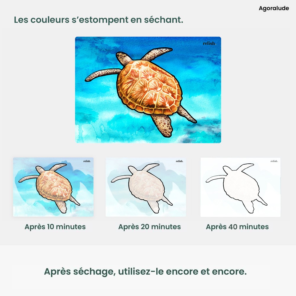 Aquapaint peinture à l'eau Animaux marins - lot de 5 tableaux