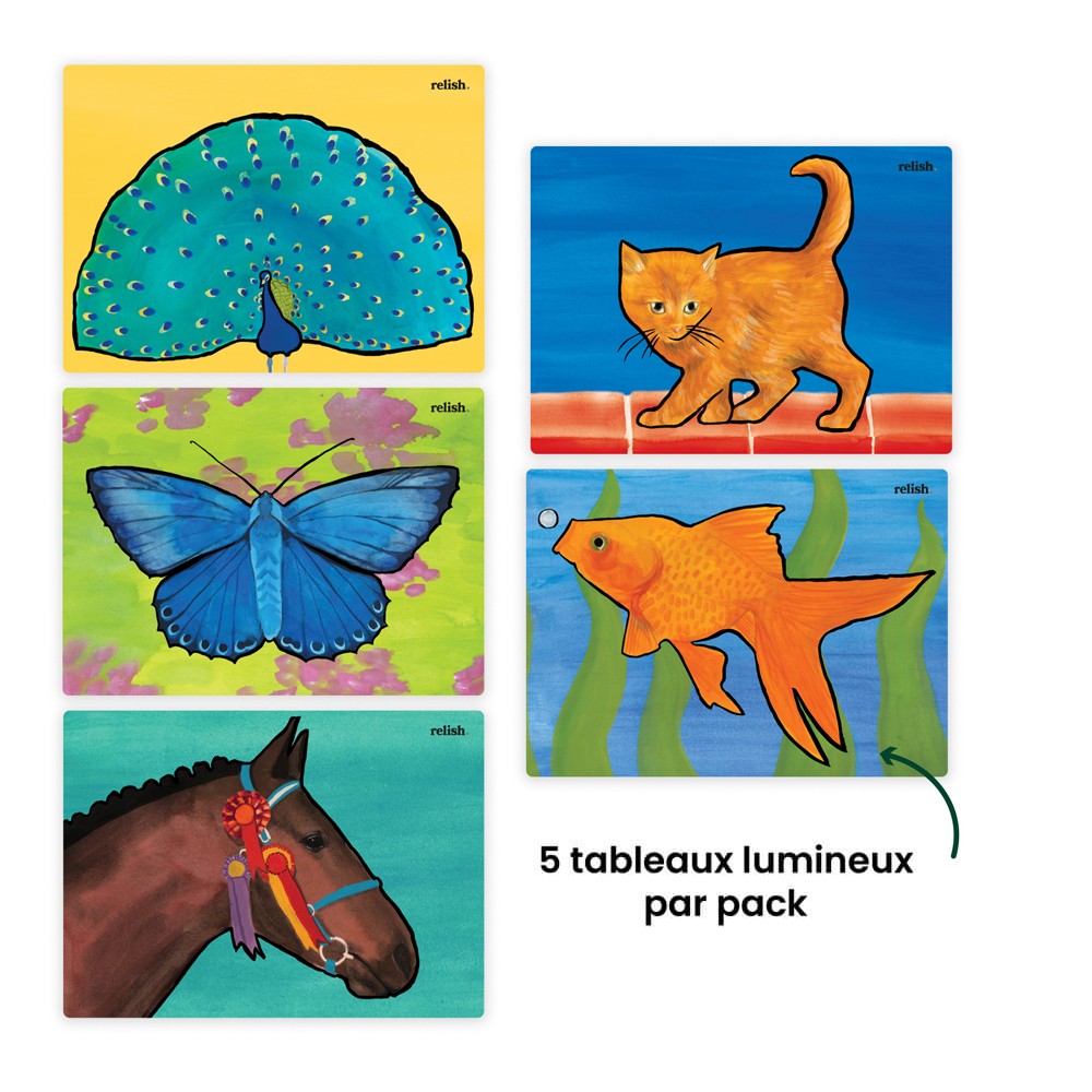 Aquapaint peinture à l'eau Les animaux - lot de 5 tableaux